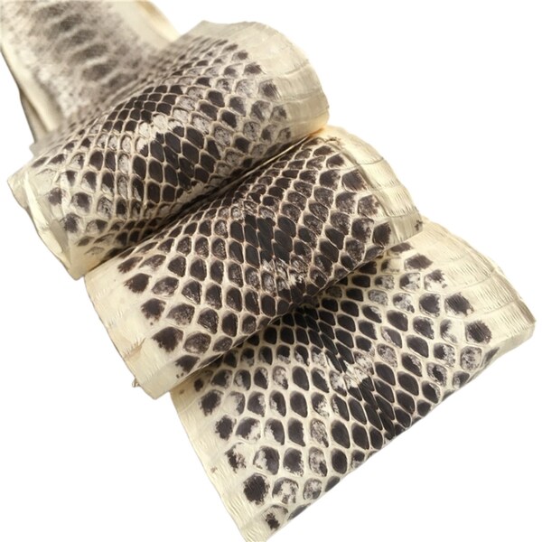 Real Snake Skin - Etsy