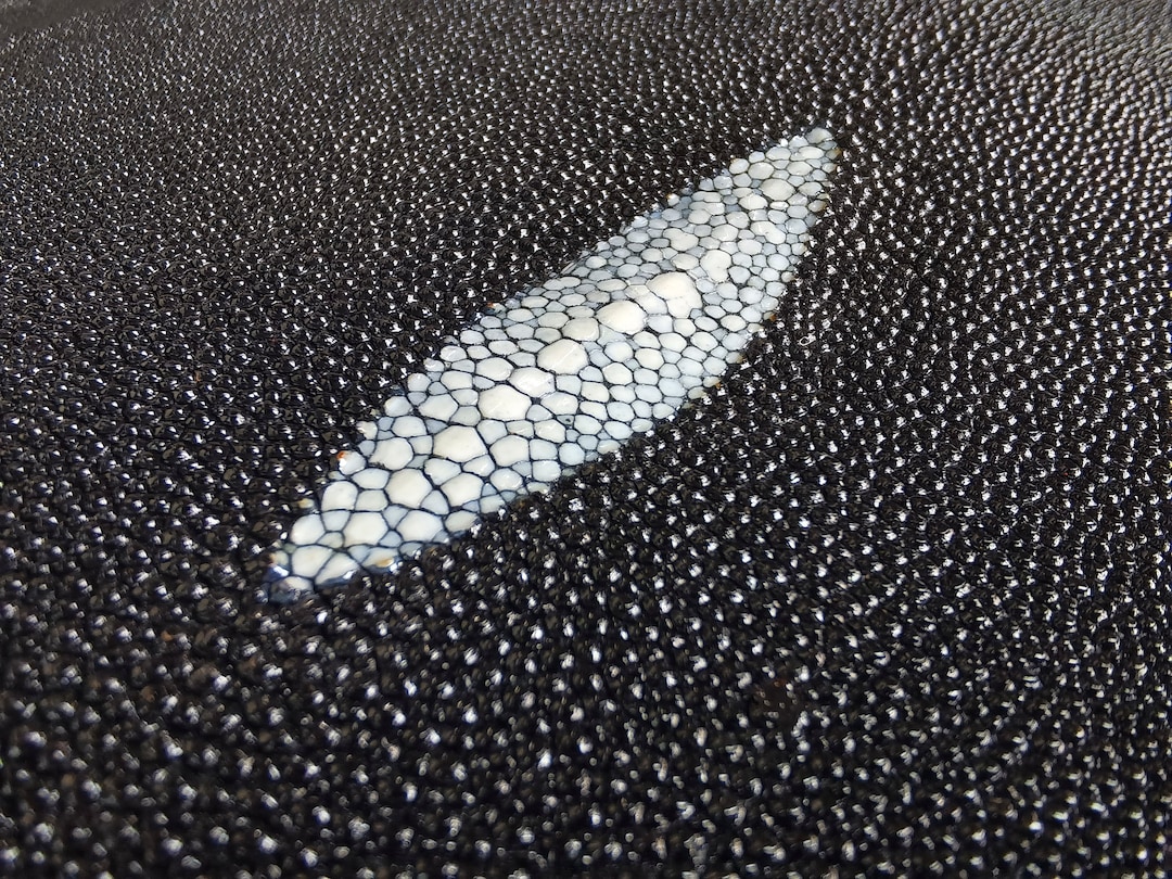 Black Unpolished Real Exotic GENUINE Stingray LEATHER Hide Skins - Etsy