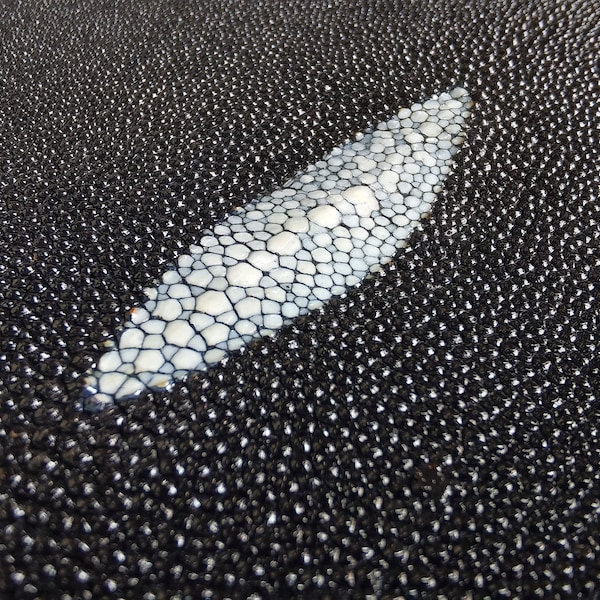 Exotic Leather - Etsy