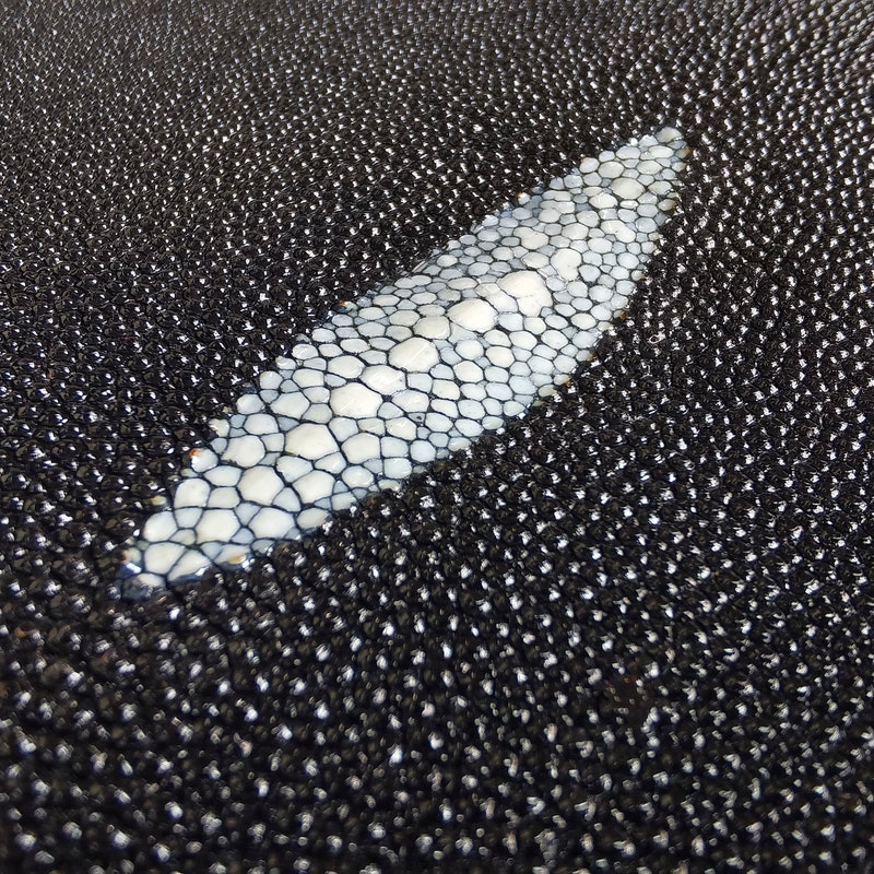 Exotic Leather - Etsy