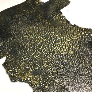 Black Gold Silver Genuine TOAD Bullfrog Skin Piece Leather - Etsy
