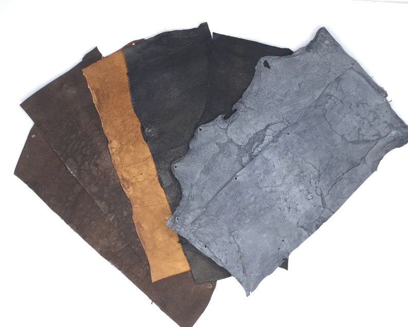 MINI Genuine TOAD Bullfrog Skin Piece Leather Craft Supply Cutting ...