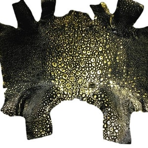 Black Gold Silver Genuine TOAD Bullfrog Skin Piece Leather - Etsy