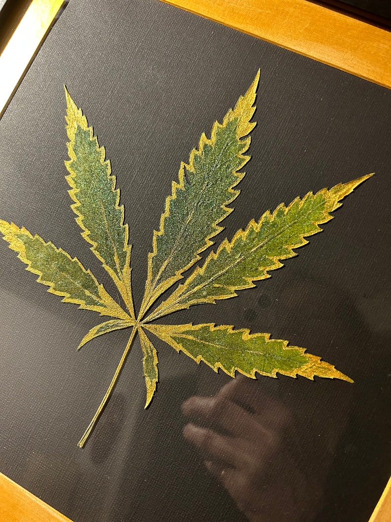 14ct Gold Cannabis Leaf - Etsy