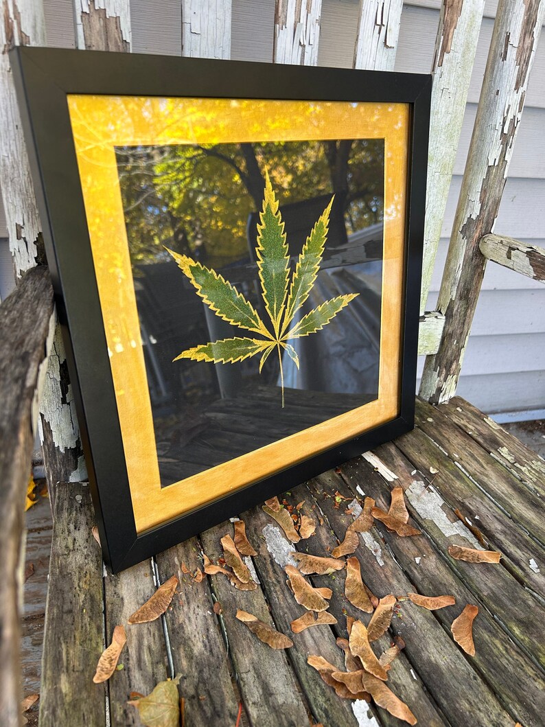 14ct Gold Cannabis Leaf - Etsy