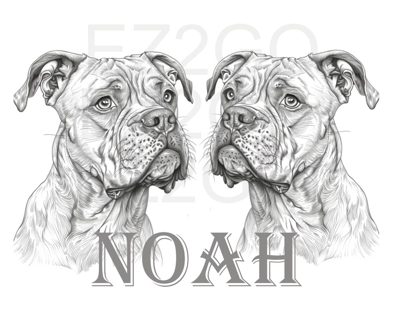 Boxer Dog, Black and White Line Illustration, by the Name of noah ...