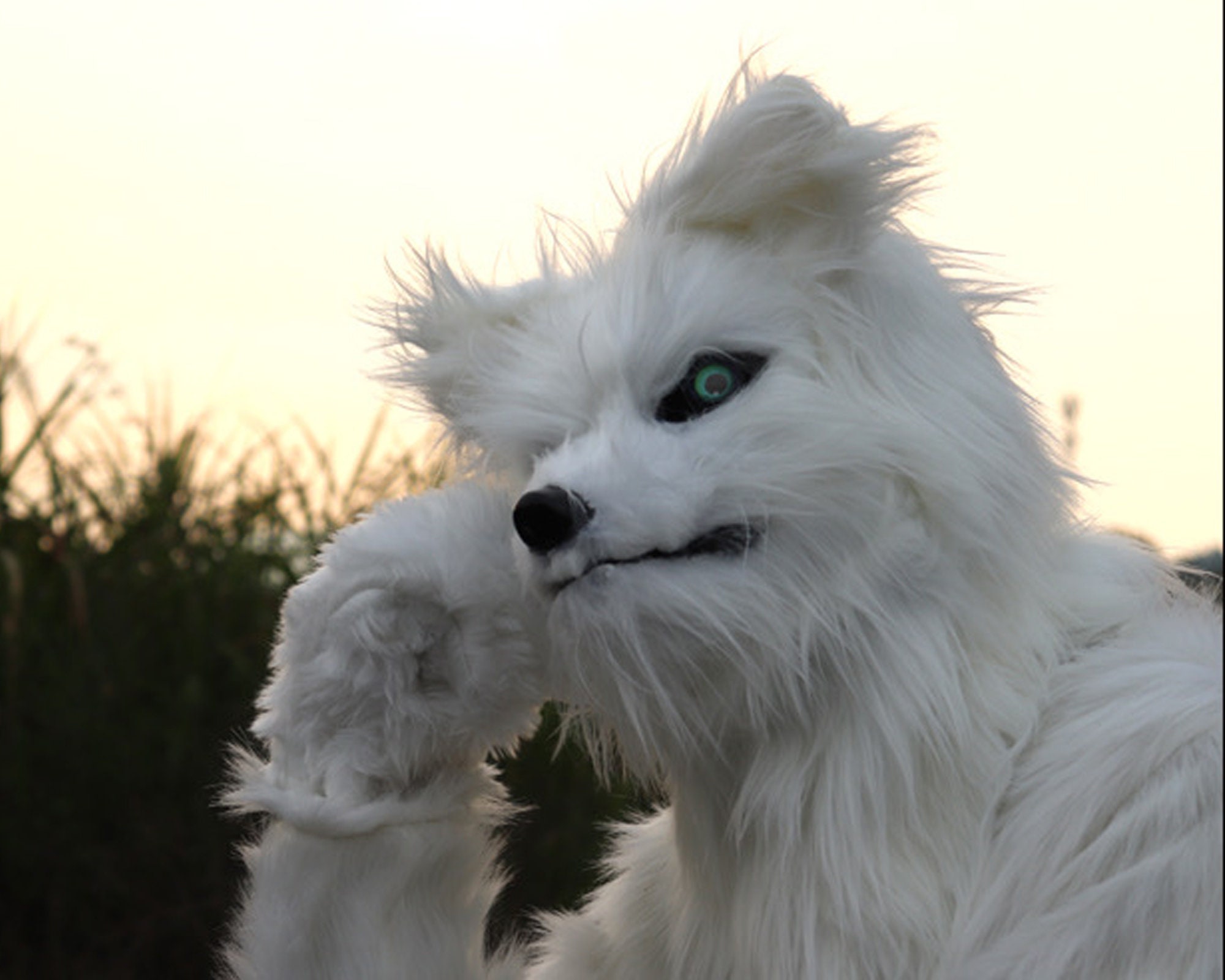 Cosplay White Wolf Fursuit-anime Cosplay-petplay-furry - Etsy