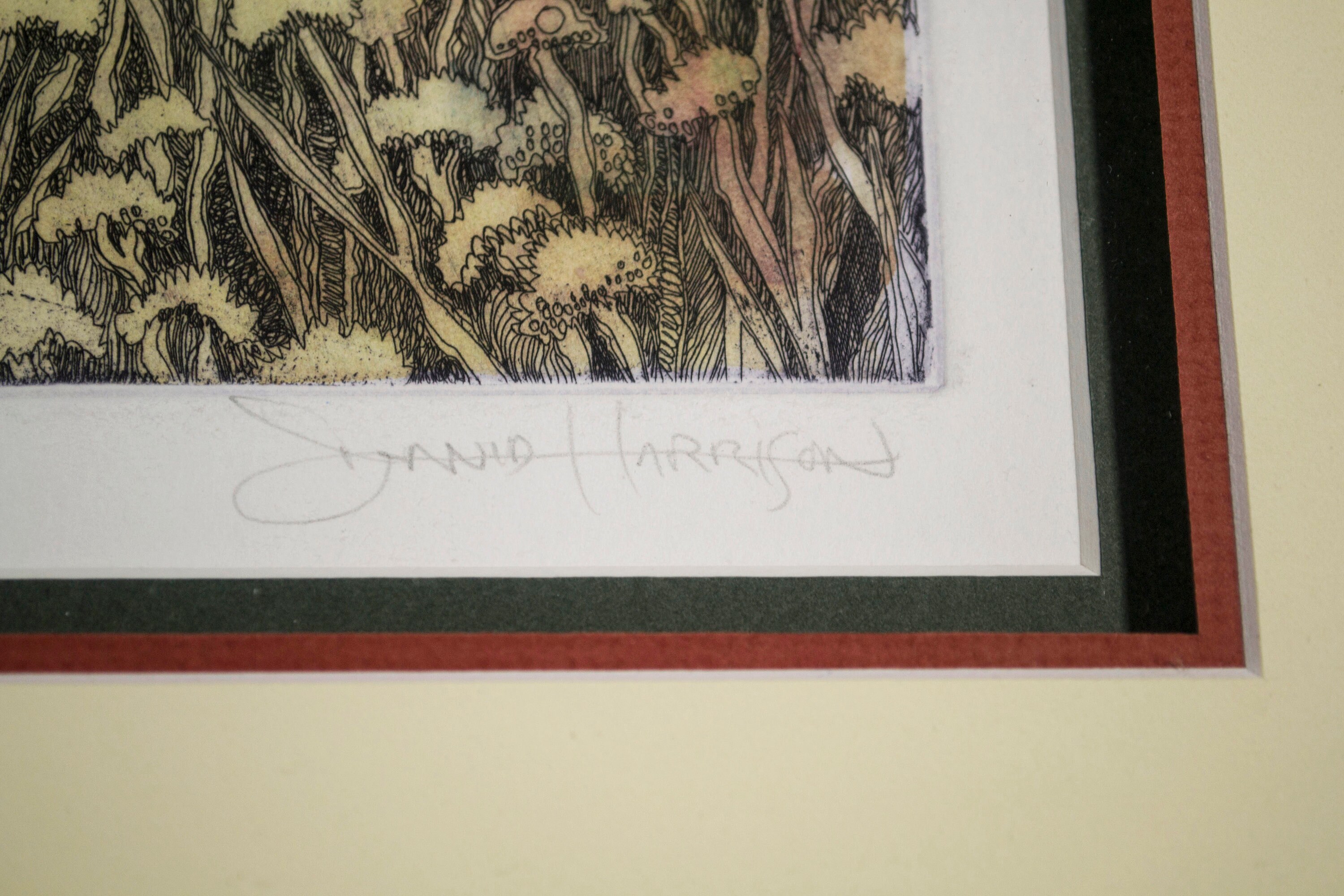 Pacific Northwest Art, David Harrison Etching, Wildflower Meadow and ...