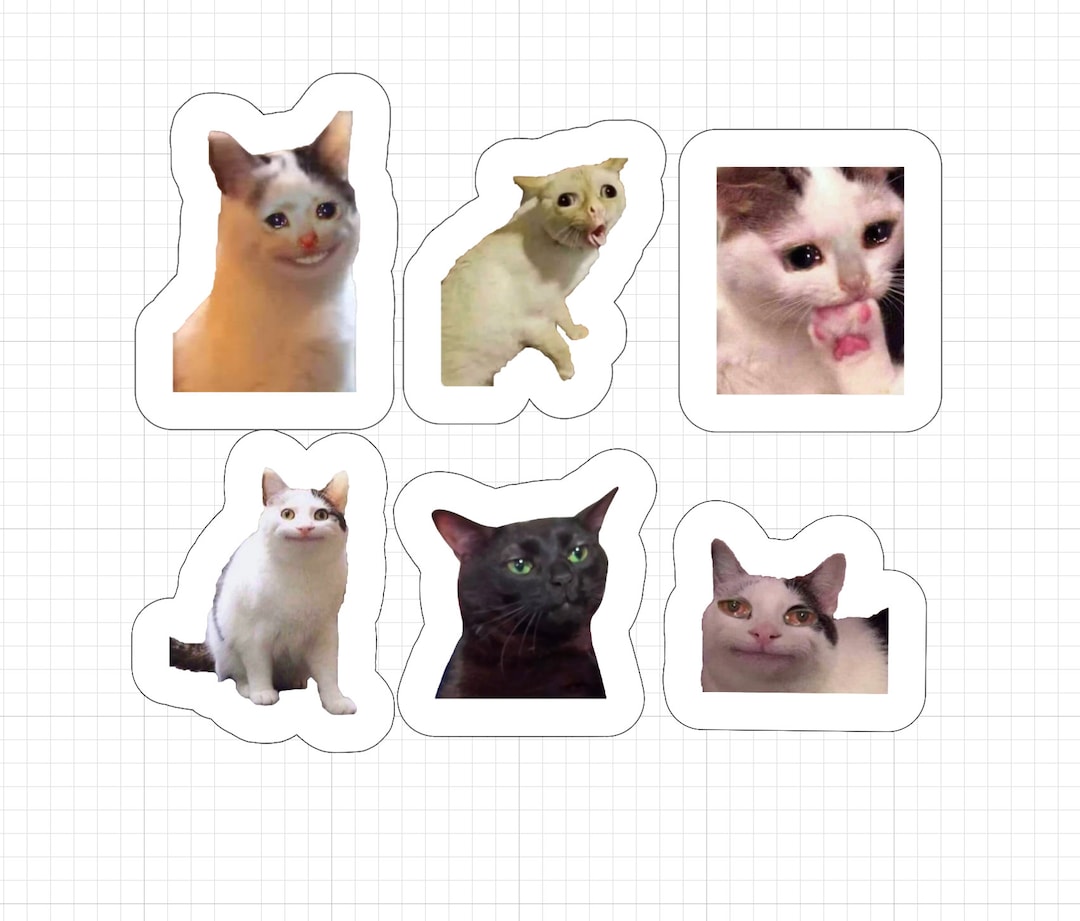 6 Pack Cat Meme Stickers Pack , Crying Cat Meme Stickers , Meme ...