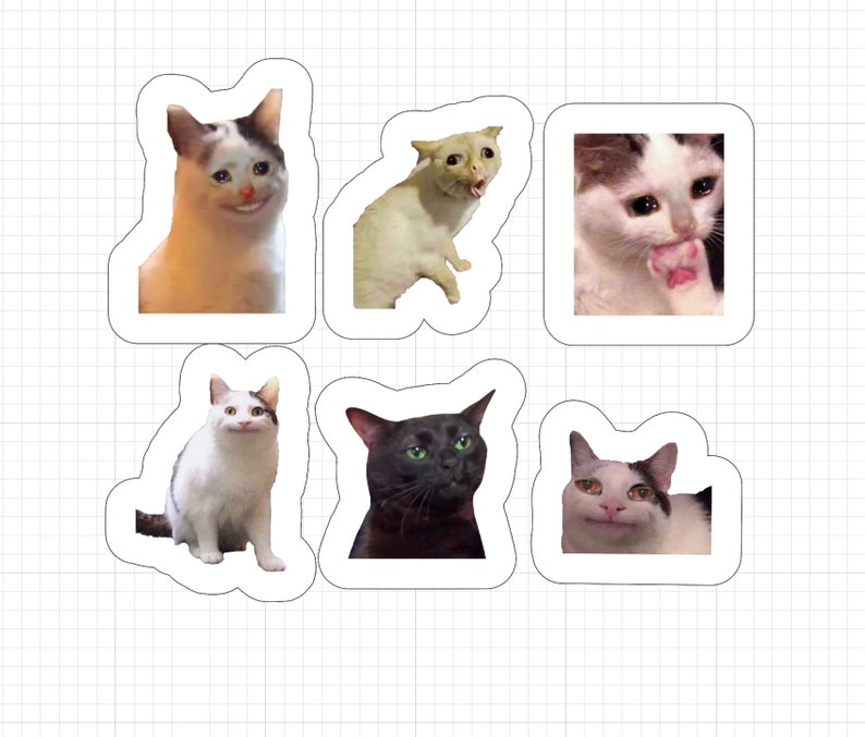 6 Pack Cat Meme Stickers Pack , Crying Cat Meme Stickers , Meme ...