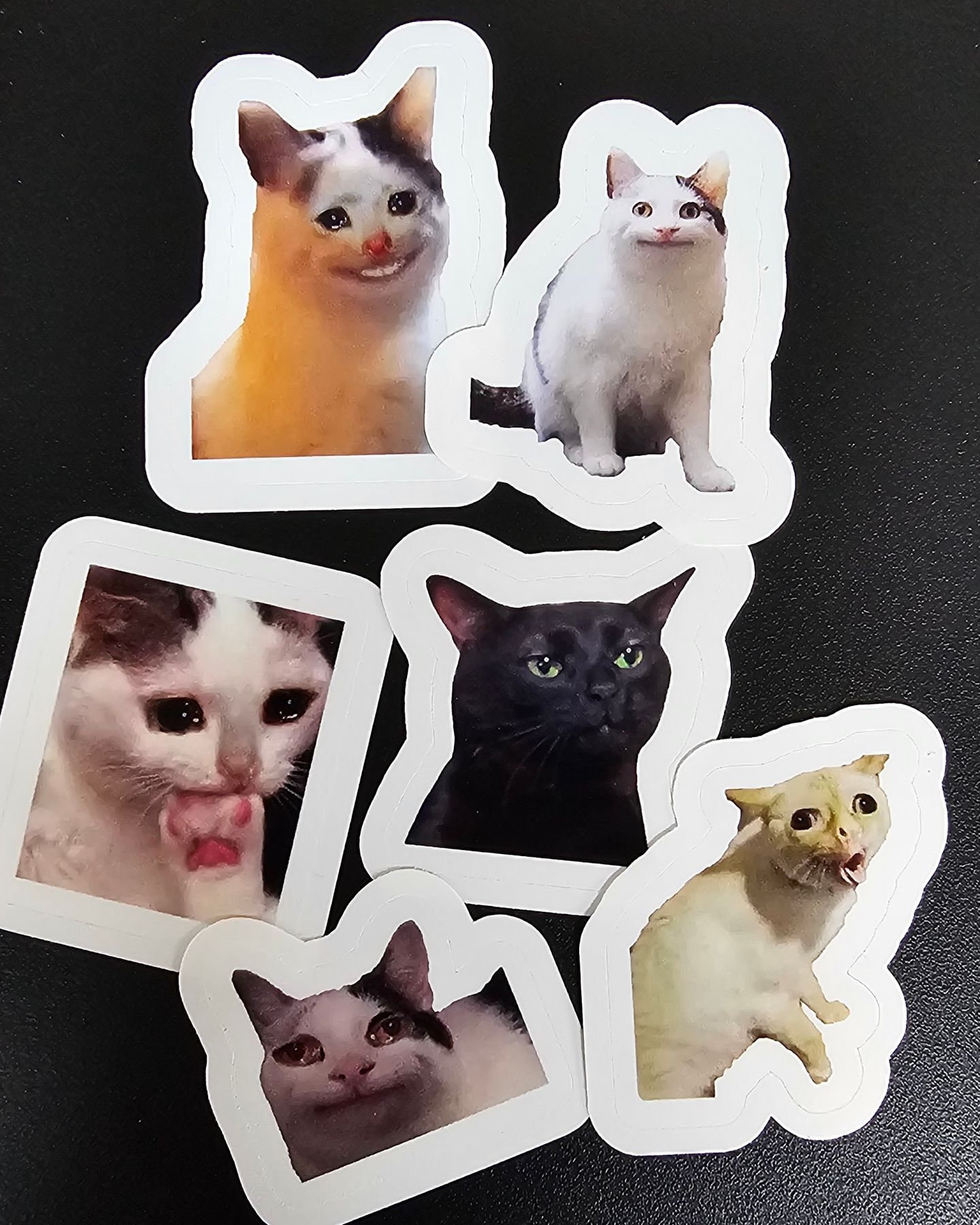 6 Pack Cat Meme Stickers Pack , Crying Cat Meme Stickers , Meme ...