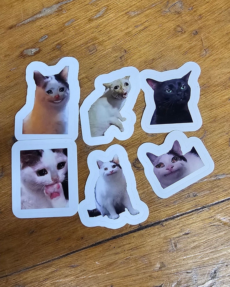 6 Pack Cat Meme Stickers Pack , Crying Cat Meme Stickers , Meme ...