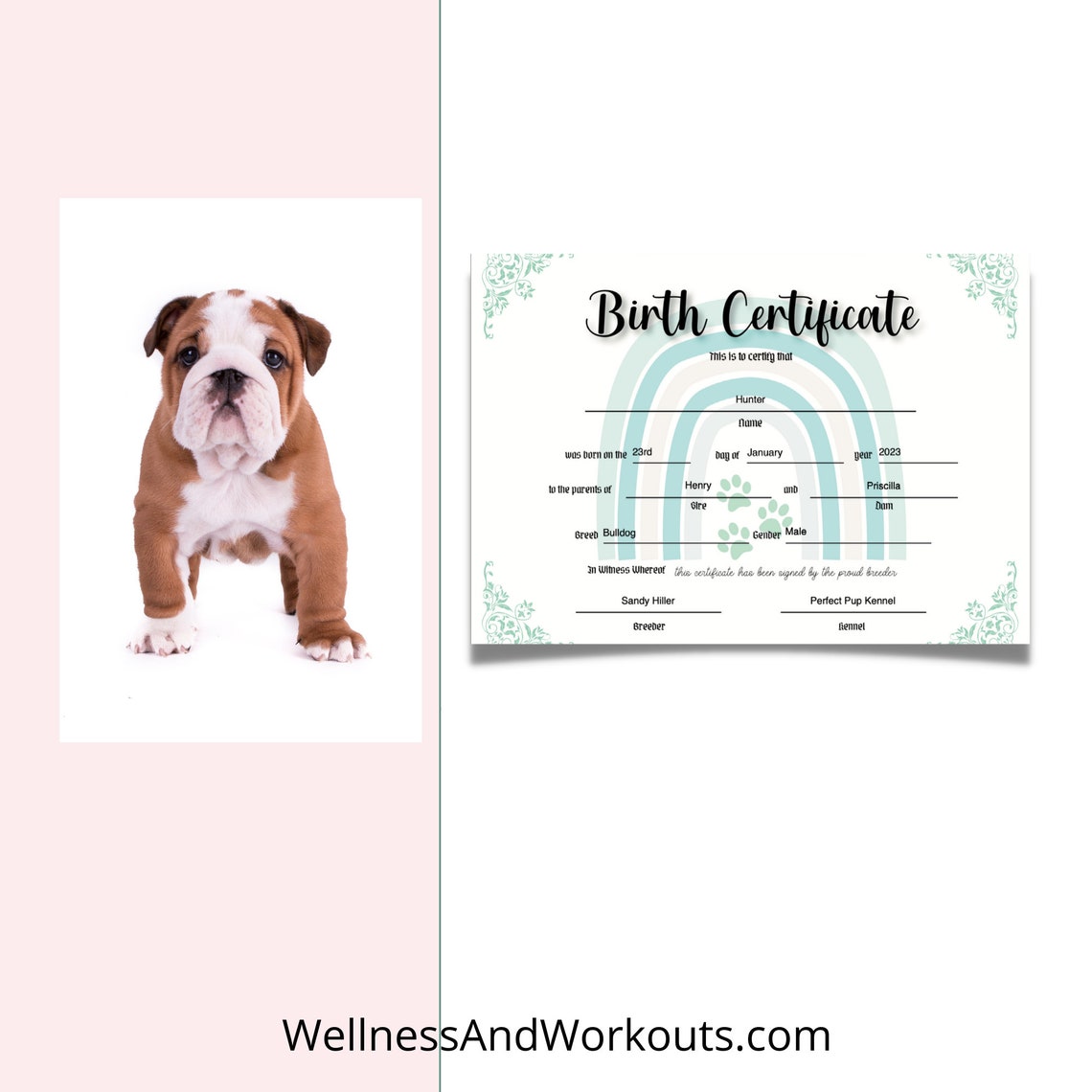 Puppy Birth Certificate PDF, Pet Birth Certificate, Editable Dog ...
