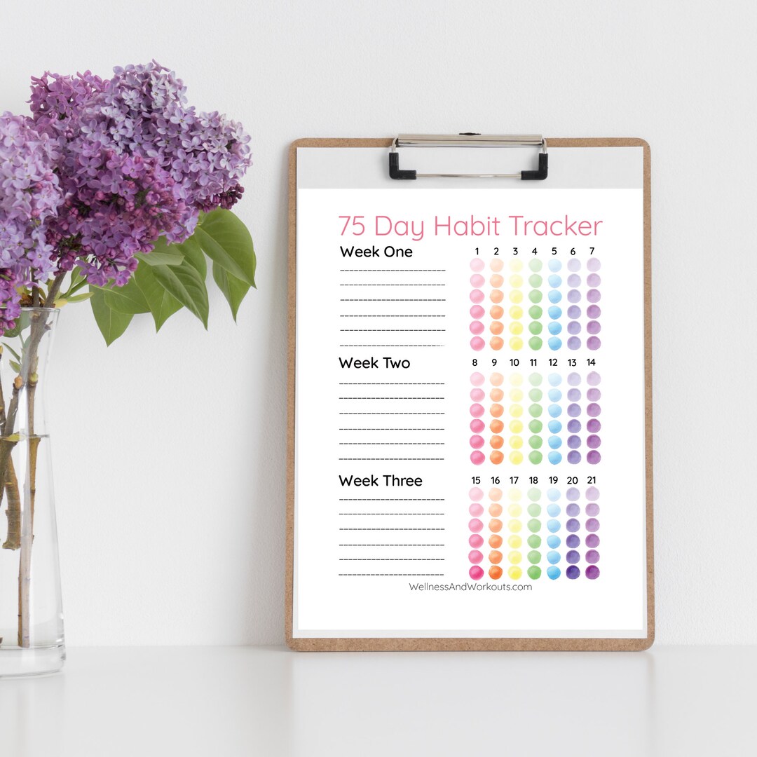 Editable Rainbow Printable Habit Tracker/fitness Tracker/digital Print ...