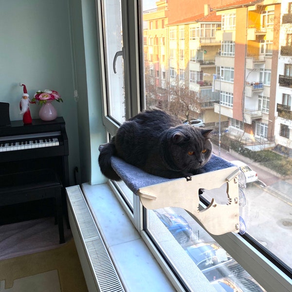 Cat Window - Etsy