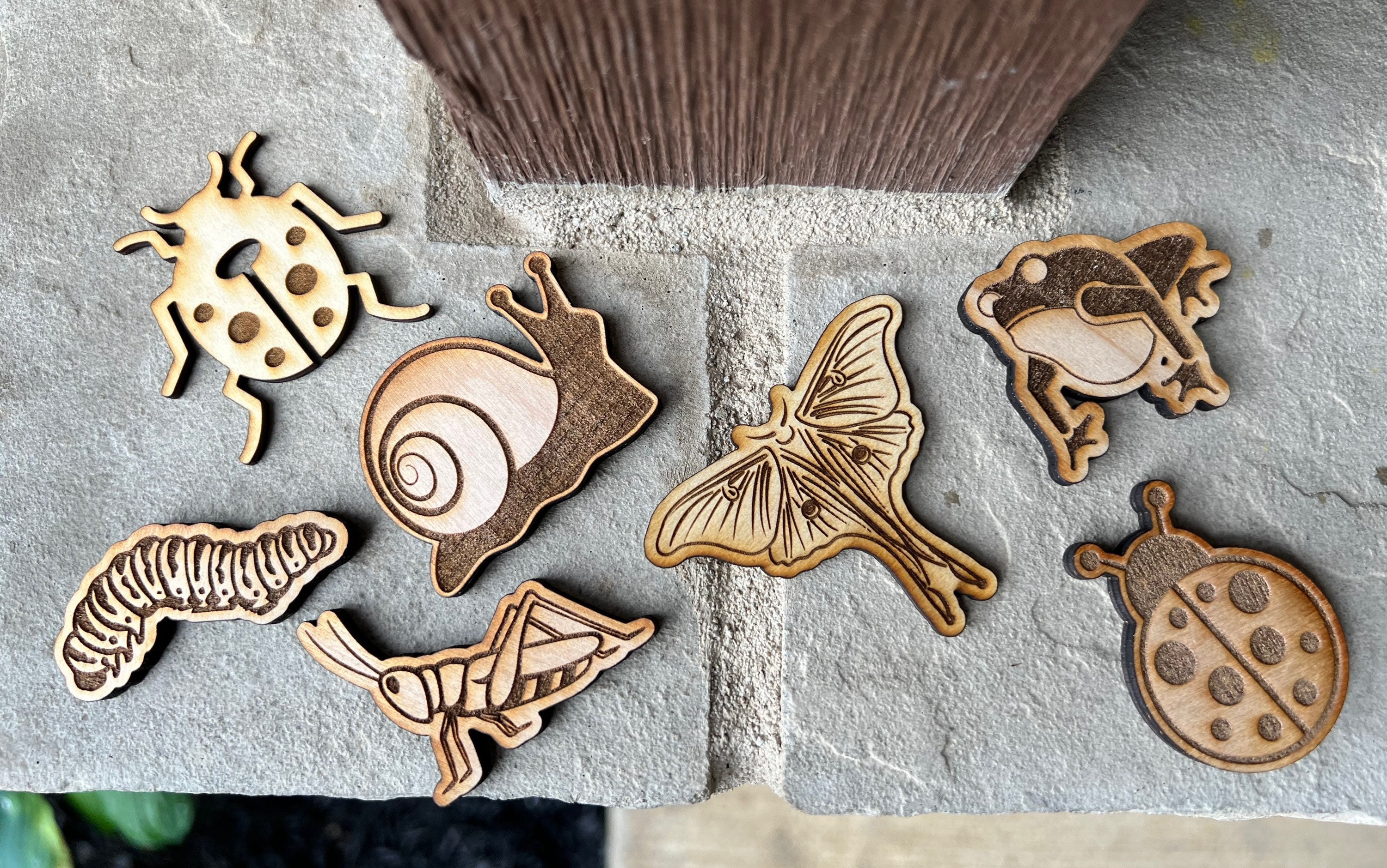 Wooden Bug Cutouts - Etsy