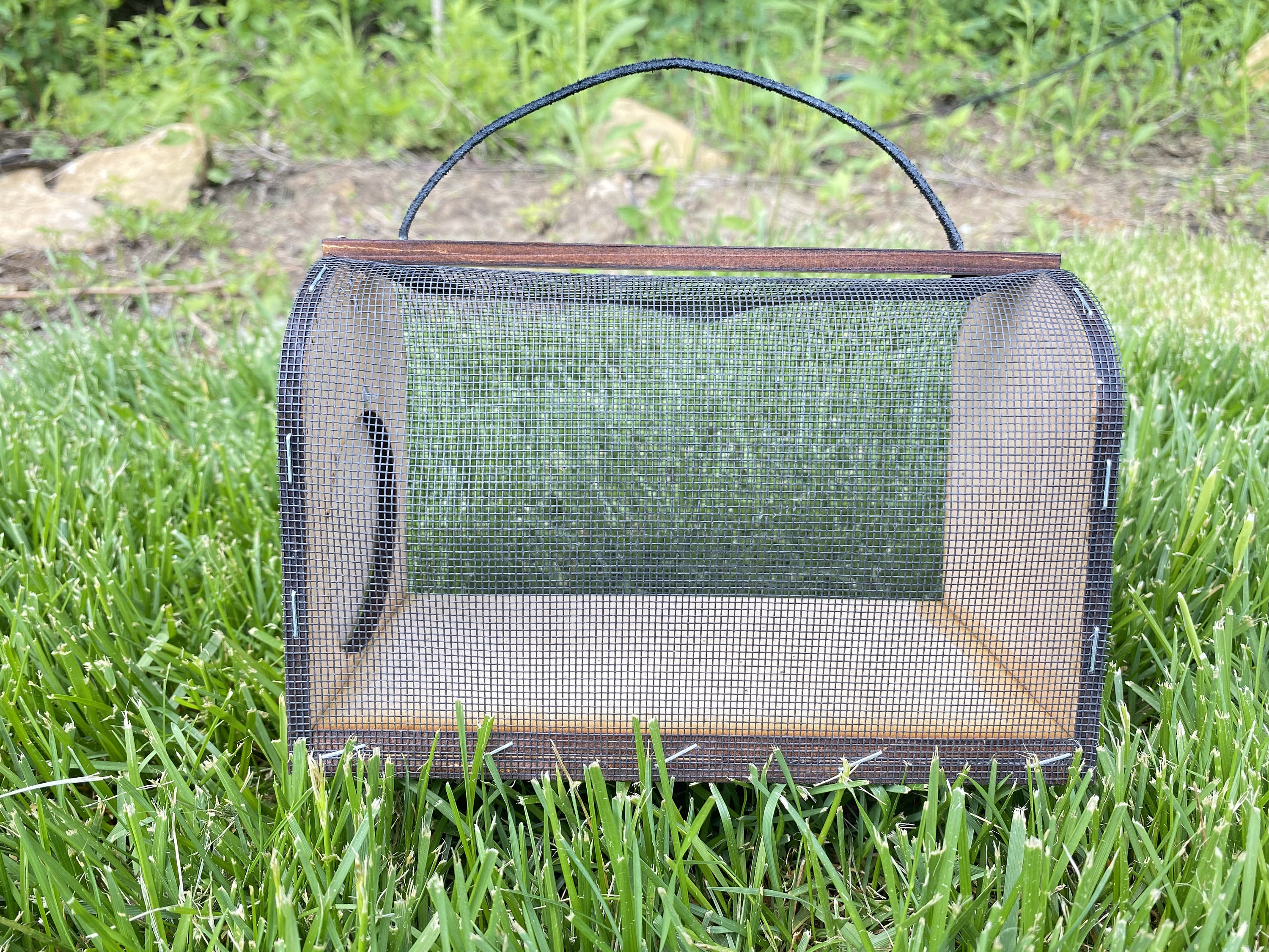 Custom Bug Keeper - Etsy Australia