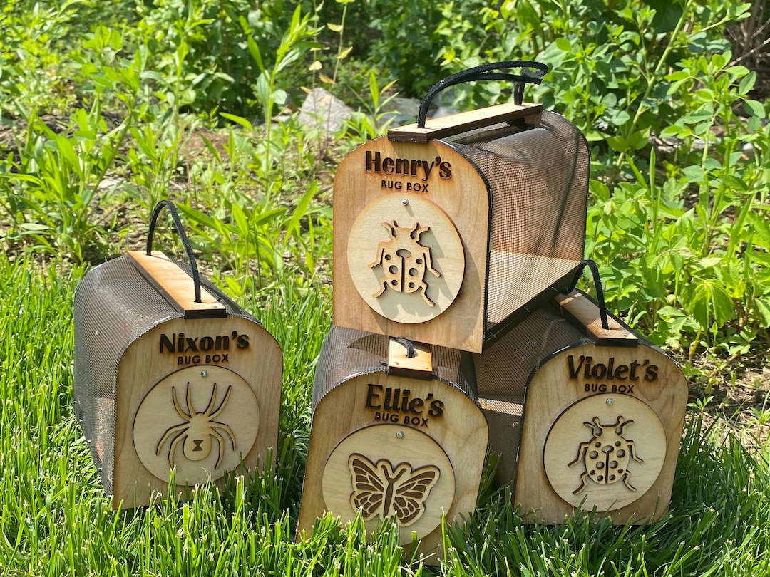 Custom Bug Keeper - Etsy Australia