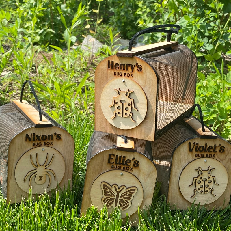 Bug Box - Etsy