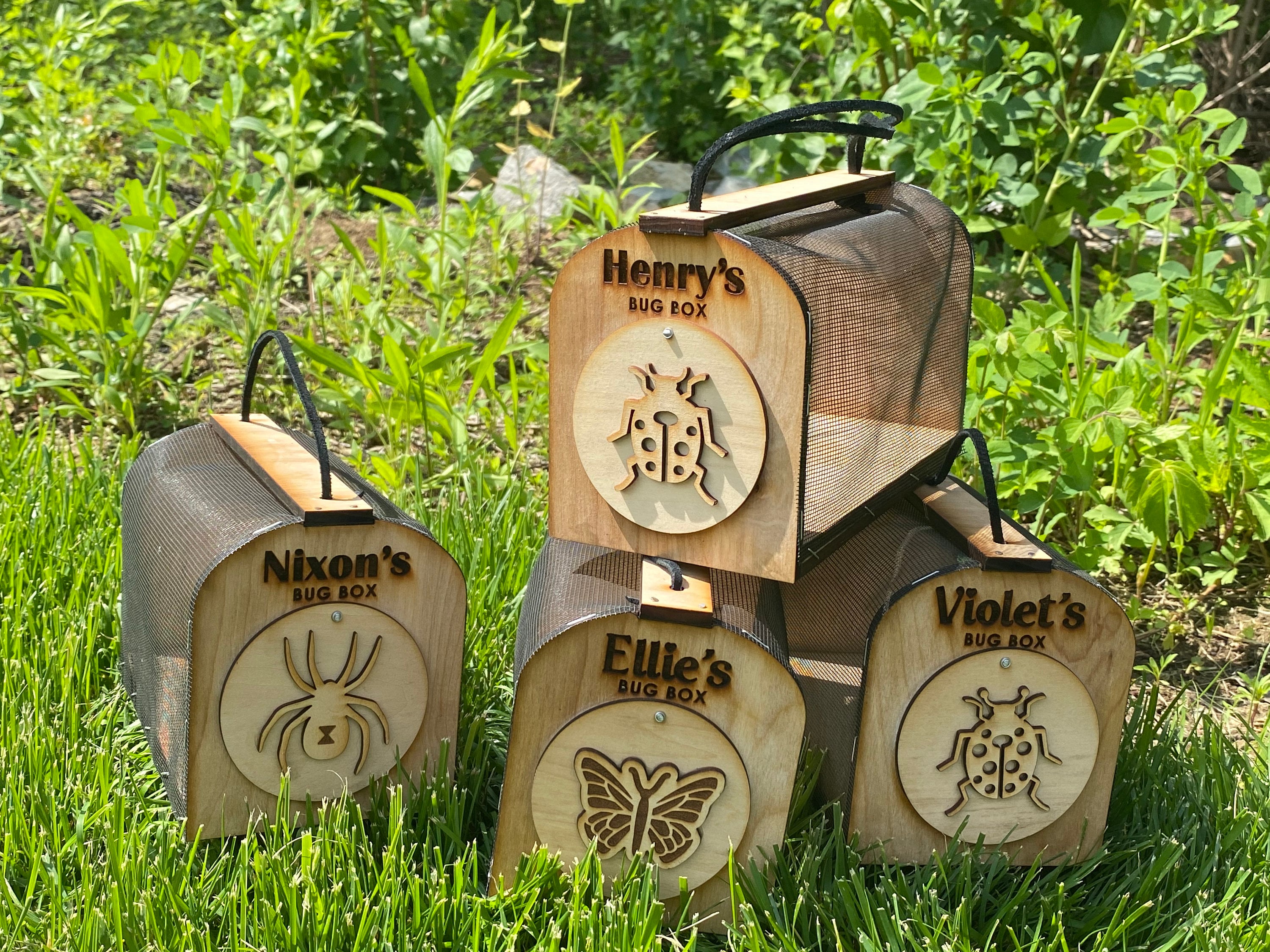 Custom Bug Keeper - Etsy Australia