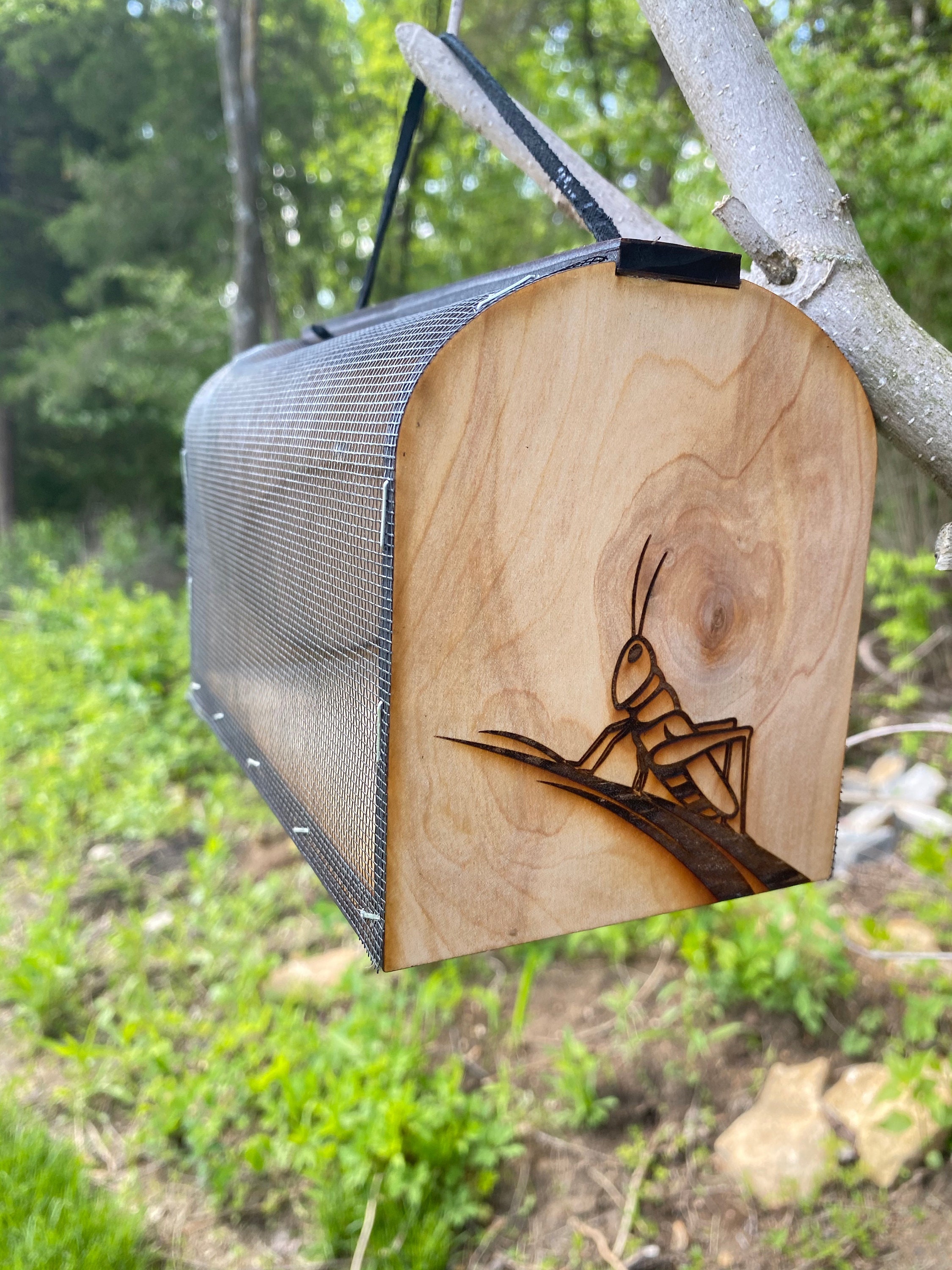 Custom Bug Keeper | Etsy