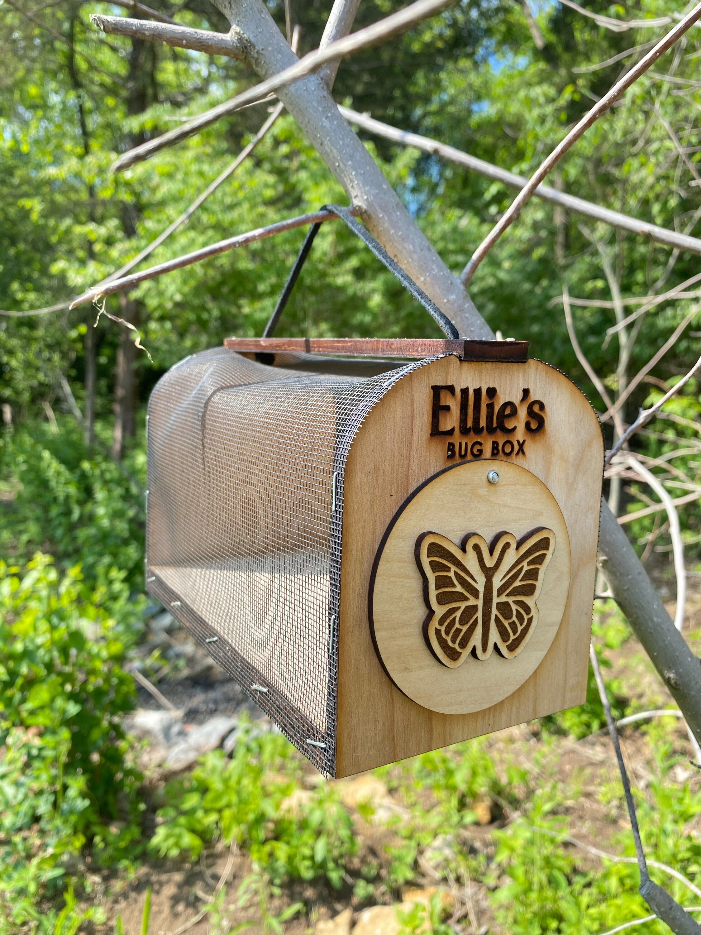 Custom Bug Keeper | Etsy