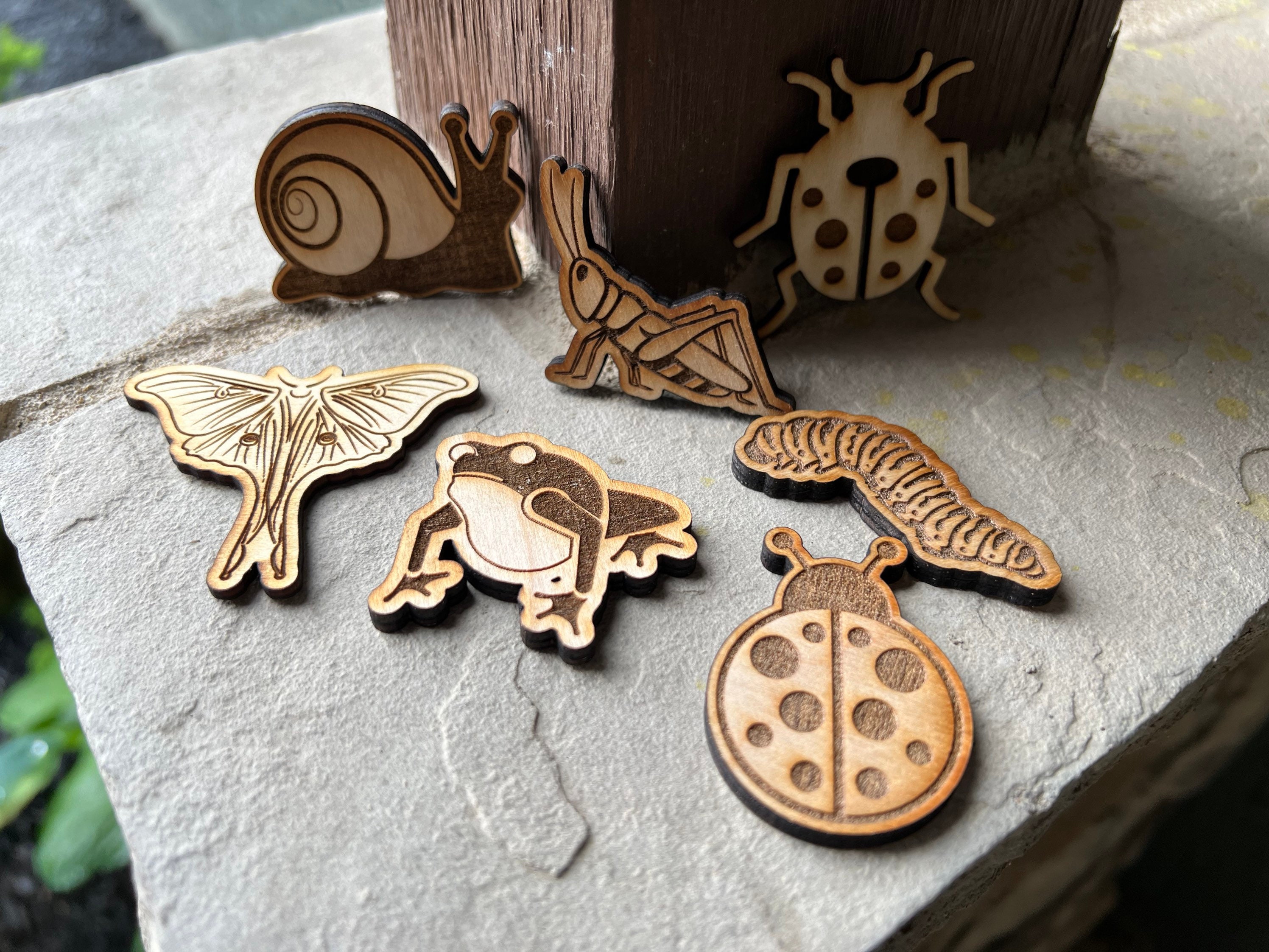 Wooden Bug Cutouts - Etsy