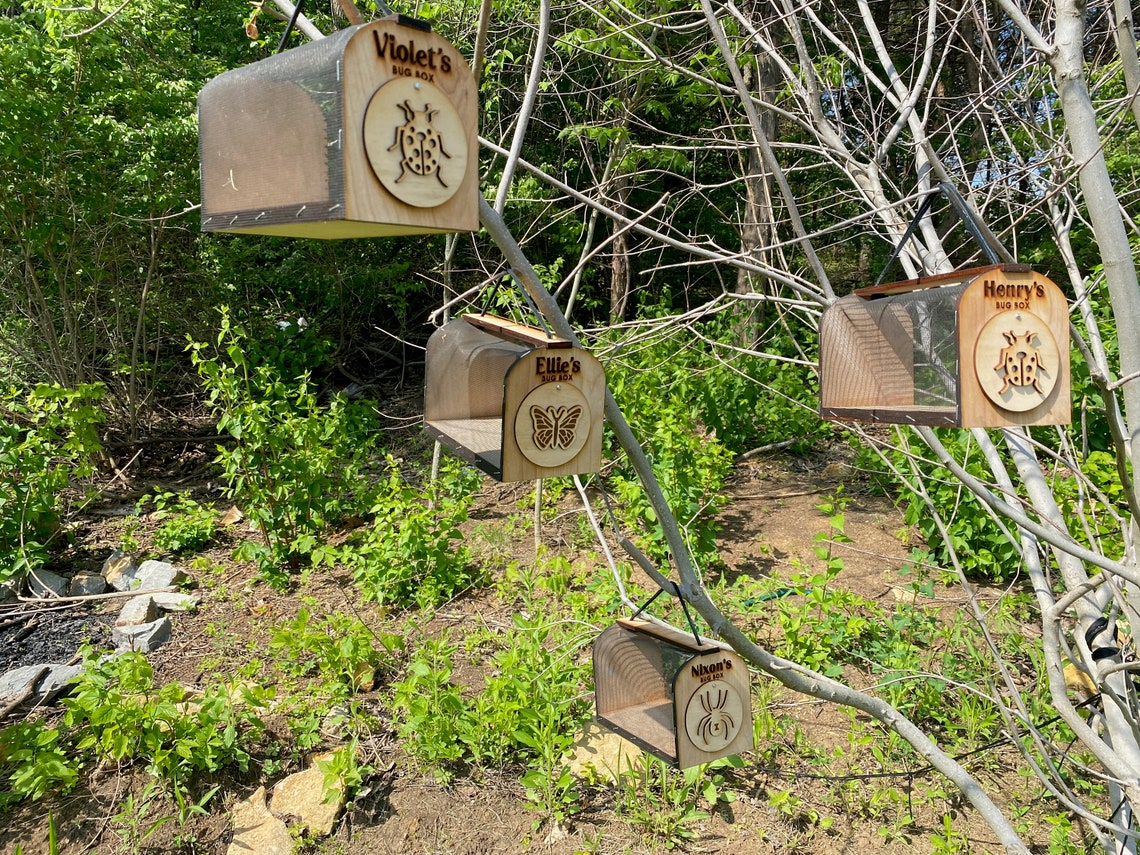 Custom Bug Keeper - Etsy Australia