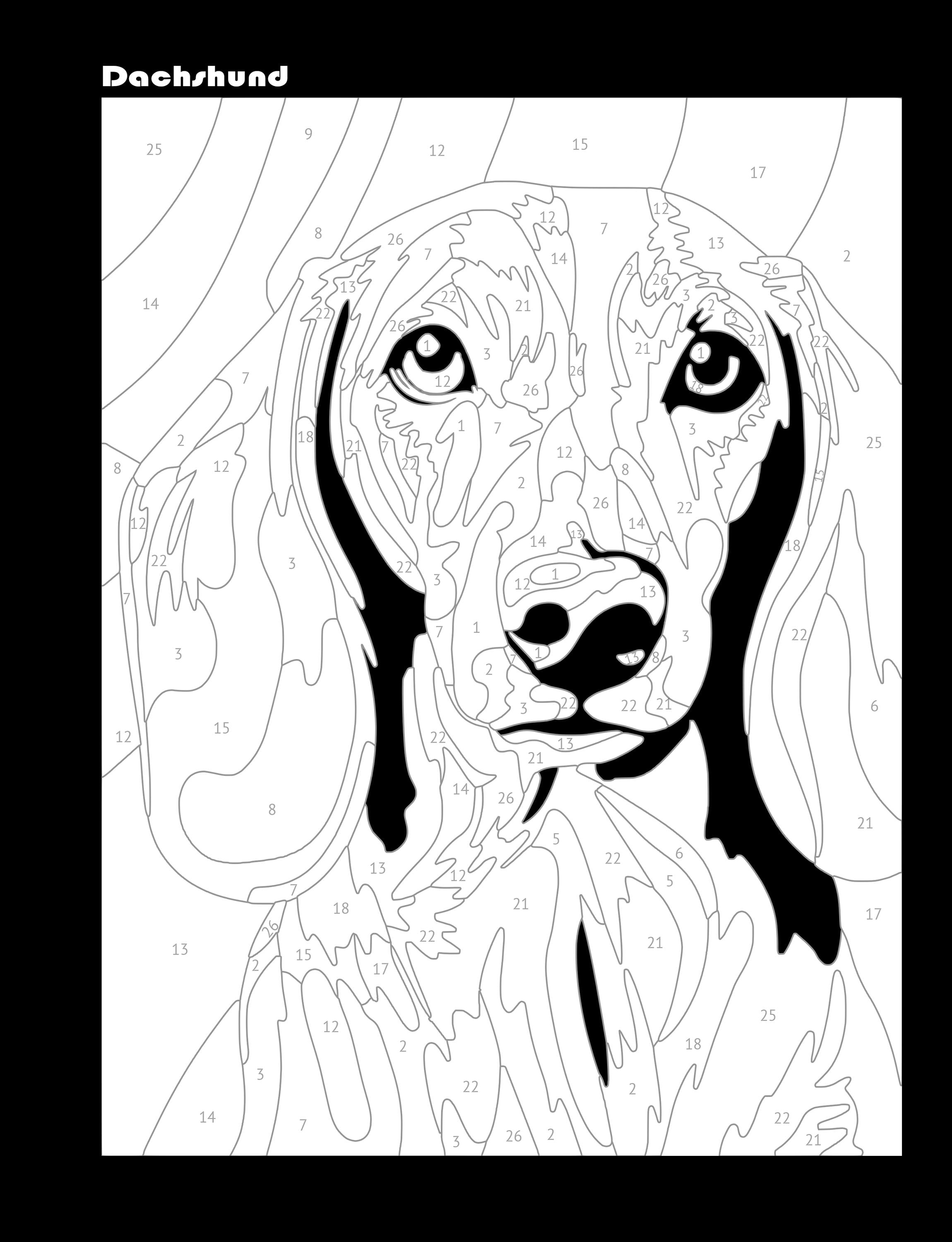 Color by Number 25 DOGS Printable Coloring Book Pages Kids Teens Adults ...