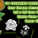 Bold and Easy Coloring Book With Flowers Plants Black Paper Coloring ...