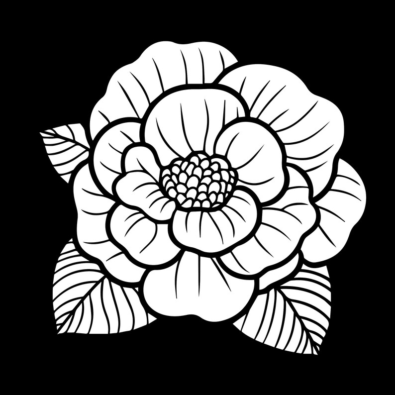 Bold and Easy Coloring Book With Flowers Plants Black Paper Coloring ...