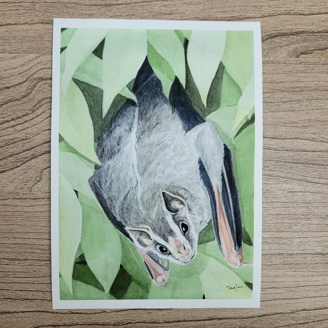 Jamaican Greater Fruit Bat Print - Etsy