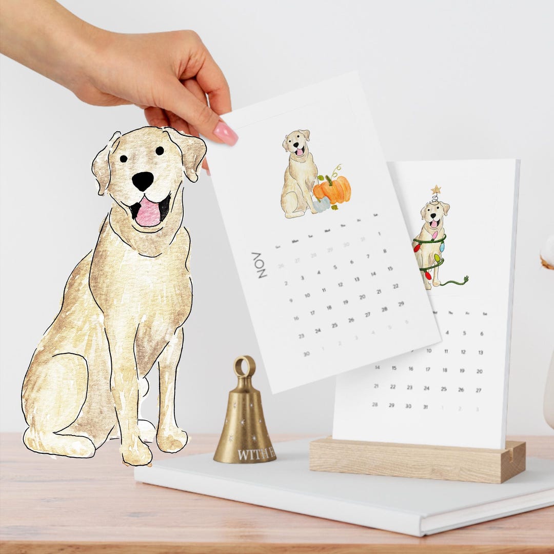 White Lab 2025 Calendar White Lab Calendar, White Labrador Retriever ...