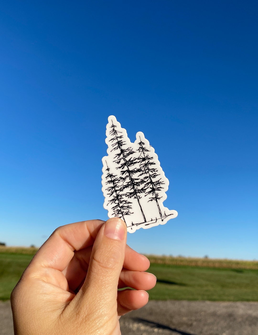 Three Tree Sticker Pine Tree Sticker Nature Sticker Unique Sticker Hand ...