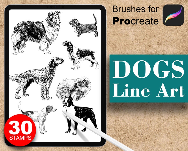 30 Dogs Line Art, Brushes for Procreate, Stamp, Use on iPad With Apple ...