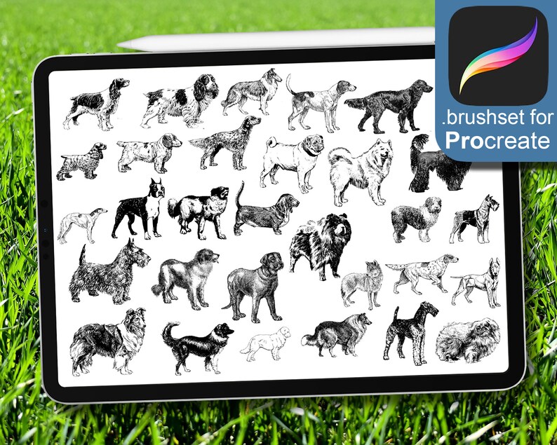 30 Dogs Line Art, Brushes for Procreate, Stamp, Use on iPad With Apple ...