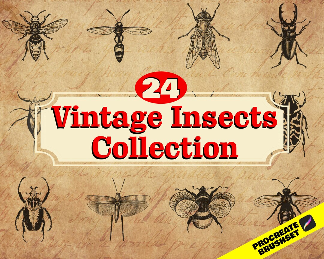 24 Insect Silhouettes, Brushes for Procreate, Stamp, Use on iPad With ...