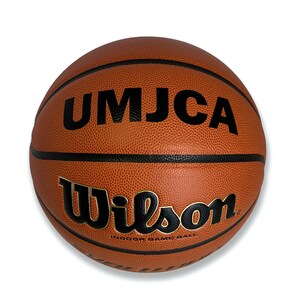 Customized Personalized Wilson Evolution Basketball With Jersey Number ...