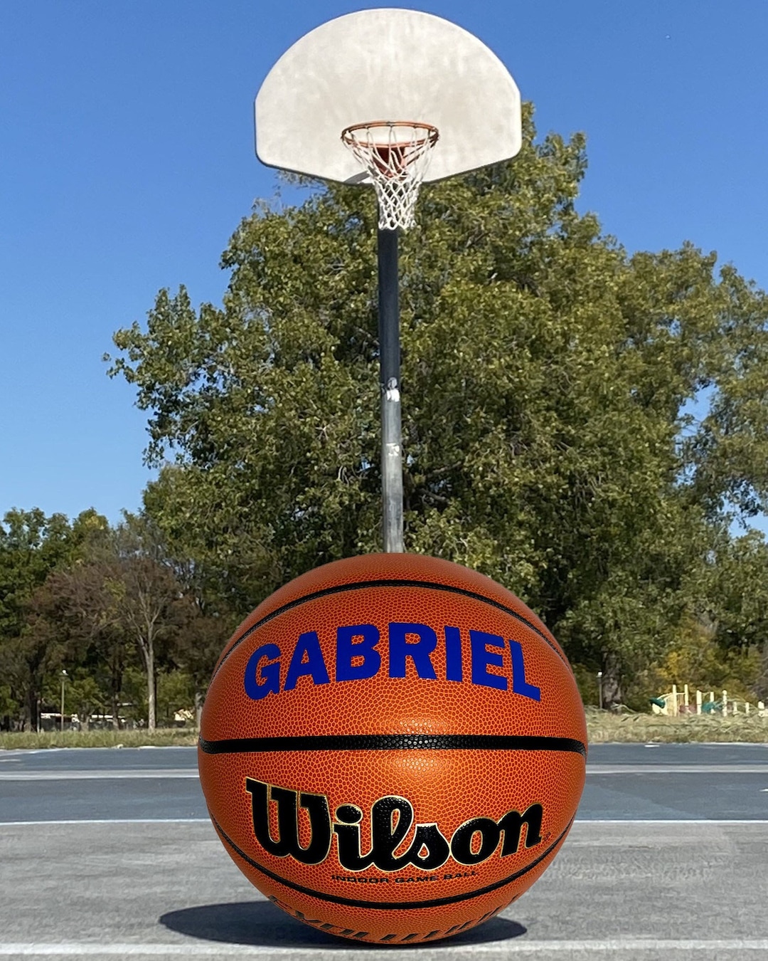 Customized Personalized Wilson Evolution Basketball Indoor Size 29.5 ...