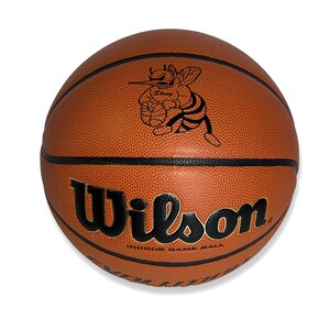 Customized Personalized Wilson Evolution Basketball With Jersey Number ...