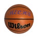 Customized Personalized Wilson Evolution Basketball Indoor - Etsy
