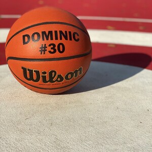 Customized Personalized Wilson Evolution Basketball Indoor Size 29.5 ...