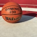 Customized Personalized Wilson Evolution Basketball Indoor - Etsy