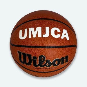 Customized Personalized Wilson Evolution Basketball Indoor Size 29.5 ...