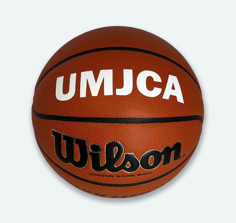 Customized Personalized Wilson Evolution Basketball Indoor Size 29.5 ...