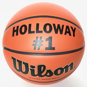 Customized Personalized Wilson Evolution Basketball Indoor Sizes 29.5 ...