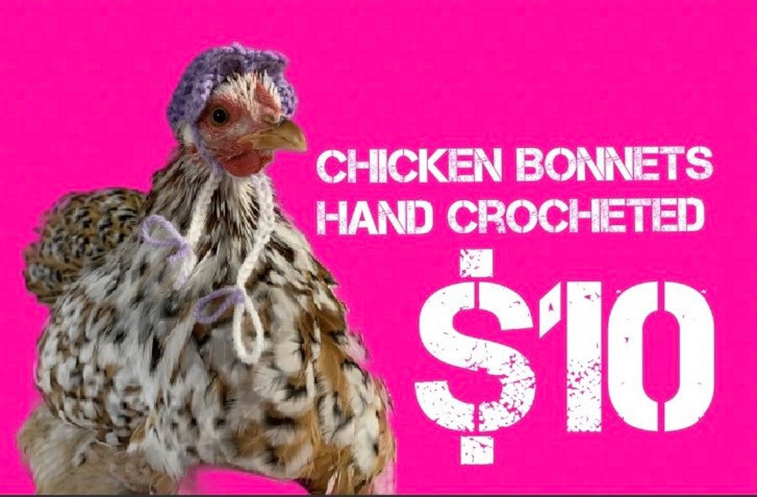 Chicken Hat Crochet Bonnets for Chickens Made in USA - Etsy