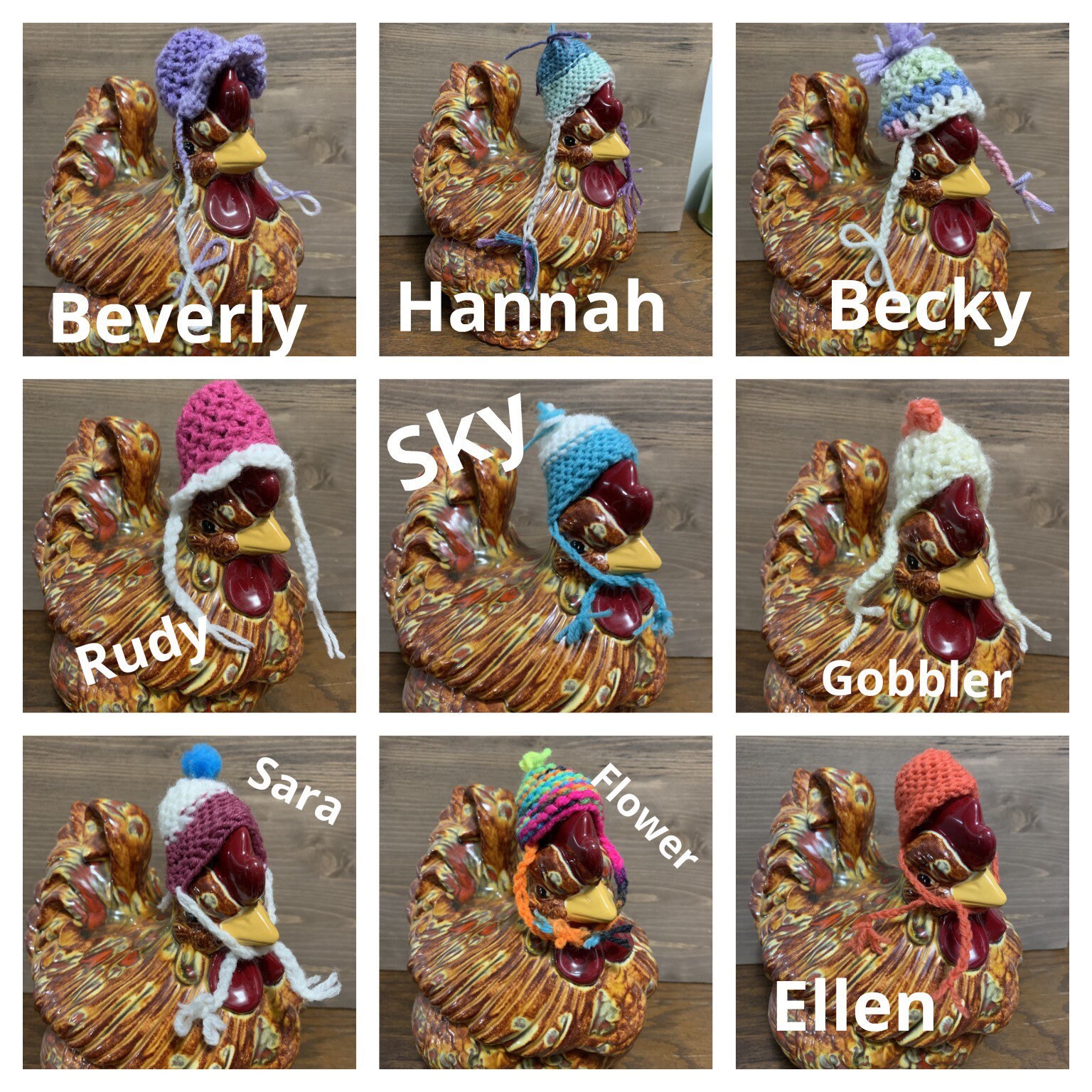 Chicken Hat Crochet Bonnets for Chickens Made in USA - Etsy