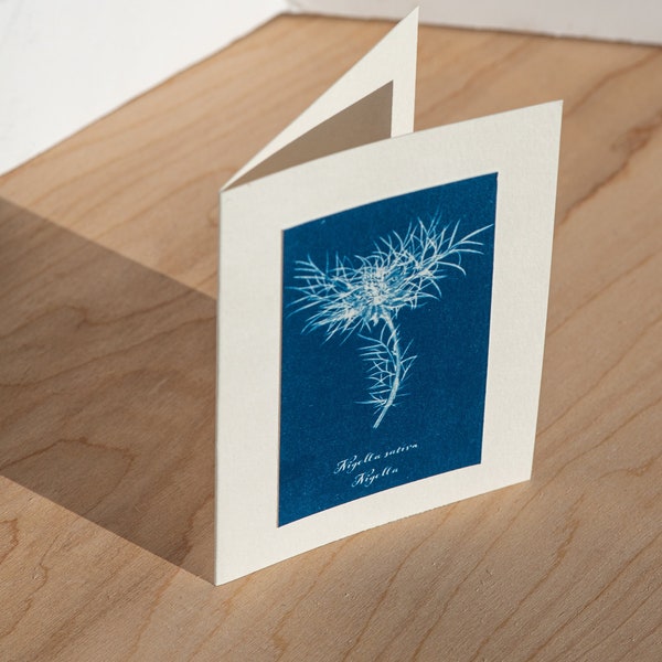 Cyanotype Print - Etsy