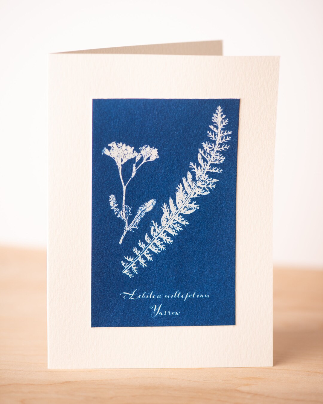 5x7 Botanical Cyanotype Cards - Etsy